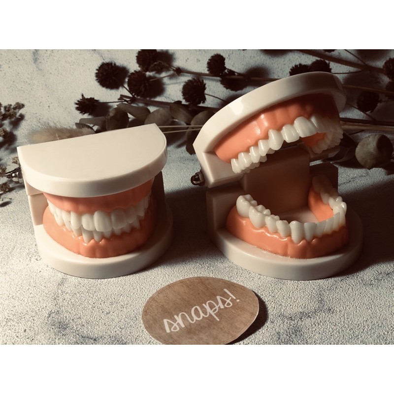 Jual Phantom gigi / model gigi / gigi tiruan | Shopee Indonesia