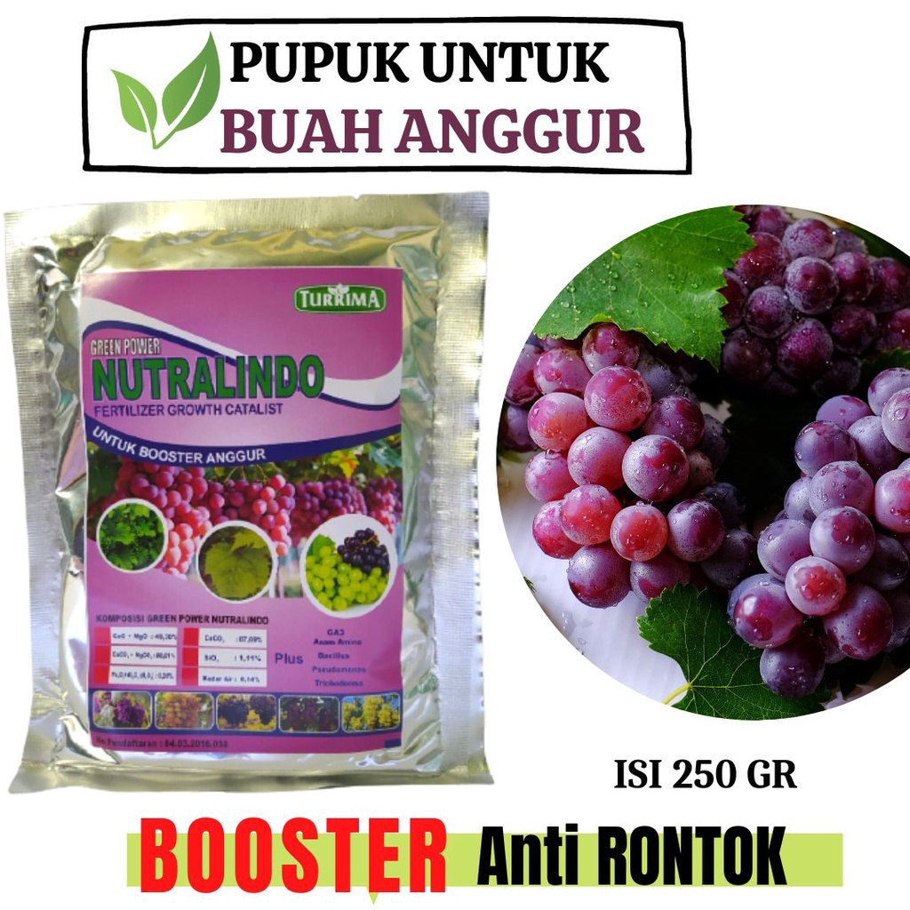 Jual Pupuk Anggur Organik Cepat Berbuah, Booster Anggur Masa Vegetatif | Shopee Indonesia
