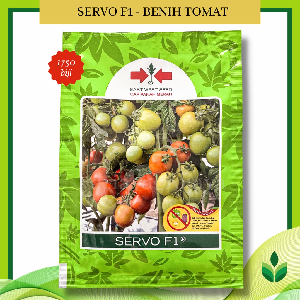 Jual Benih Bibit Tomat Servo F1 - Cap Panah Merah Indonesia|Shopee ...