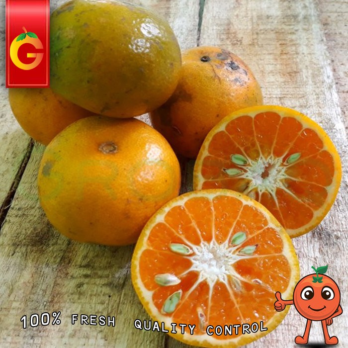 Jual JERUK LOKAL MEDAN MANIS 1 KG (GRAB/GOJEK ONLY) | Shopee Indonesia