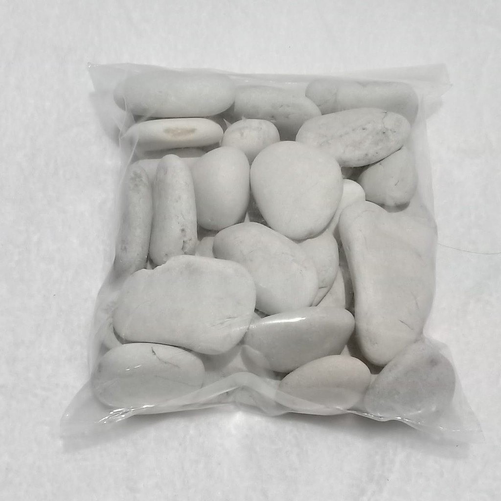 Jual batu coral putih hiasan taman 1kg | Shopee Indonesia