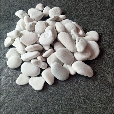 Jual Batu coral koral putih 1kg/Batu Alam Putih/Batu Coral Hias Taman ...