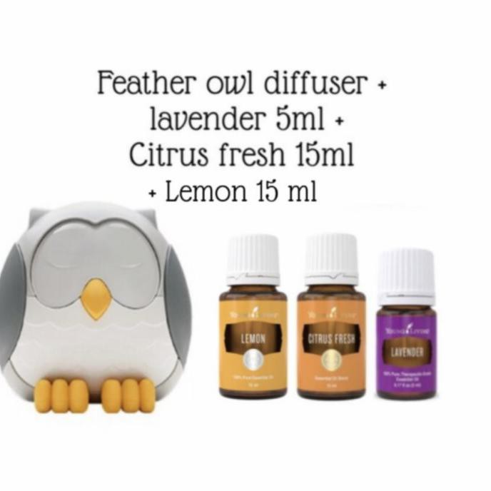 Jual Owl Diffuser Young Liv Lemon + Citrus Fresh + Lavender Oil Yl ...