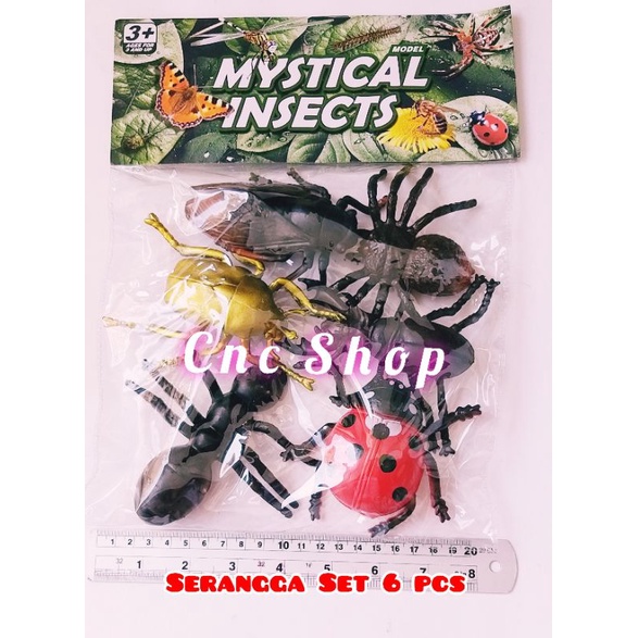 Jual Mainan Binatang Serangga Laba2 Kumbang Karet Besar 1Set isi 6pcs ...