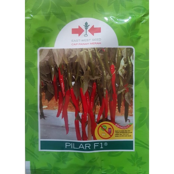 Jual Cabai pilar f1 cap panah merah 1500 butir | Shopee Indonesia