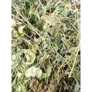 Jual Daun Pare/Paria Hutan Pare Alas Kering 250gr | Shopee Indonesia