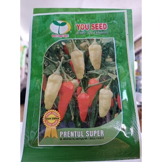 Jual Benih Cabai Rawit Prentul Super 10 gram | Shopee Indonesia