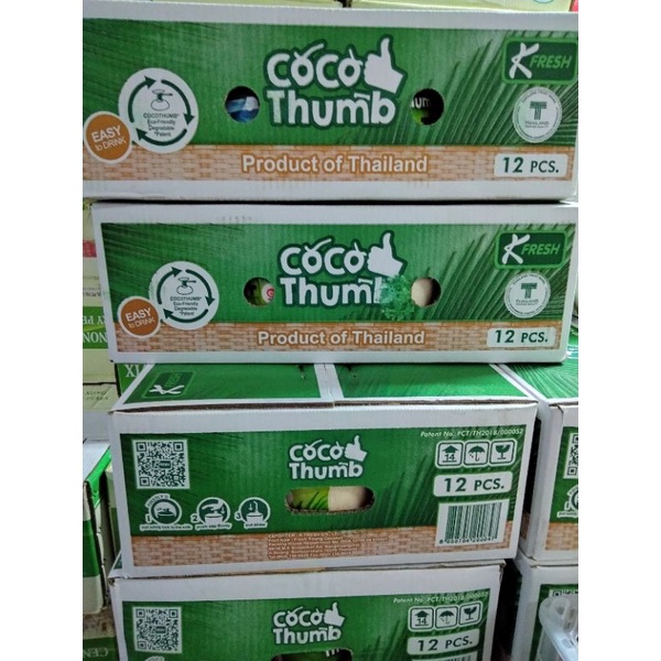 Jual coco thumb isi 12 / kelapa muda thailand / kelapa coco thumb ...
