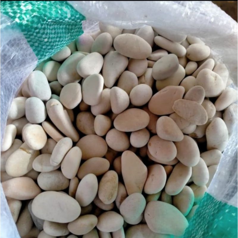 Jual Batu Alam Putih Koral Putih 1KG batu taman hiasan tanaman pot dekorasi rumah | Shopee Indonesia