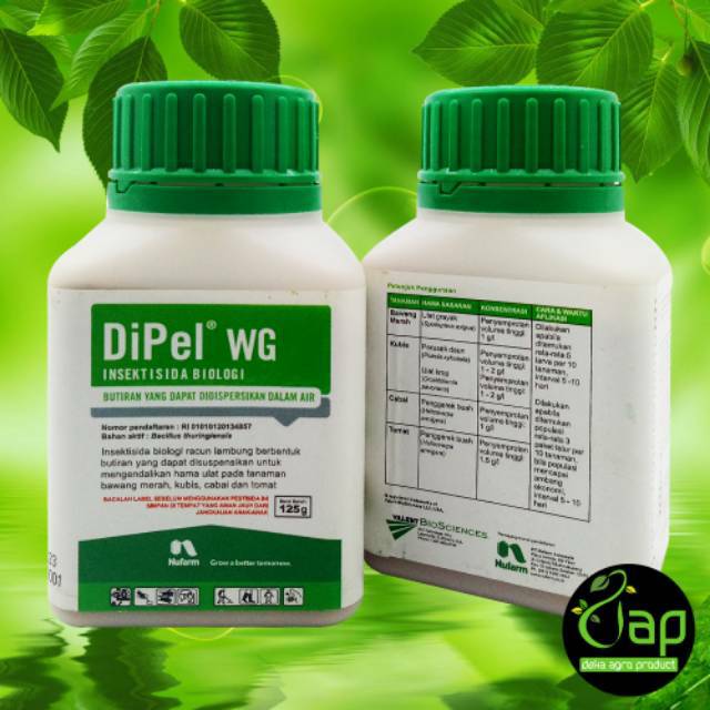 Jual INSEKTISIDA BIOLOGI DIPEL WG 125GRAM | Shopee Indonesia