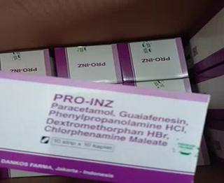 Jual PRO-INZ BOX (Isi 100 Tablet) | Shopee Indonesia