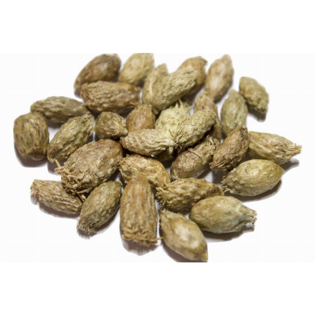 Jual [100gram] Cang Er Zi - [ 苍耳子 ] - Fructus Xanthii Siberici | Shopee ...