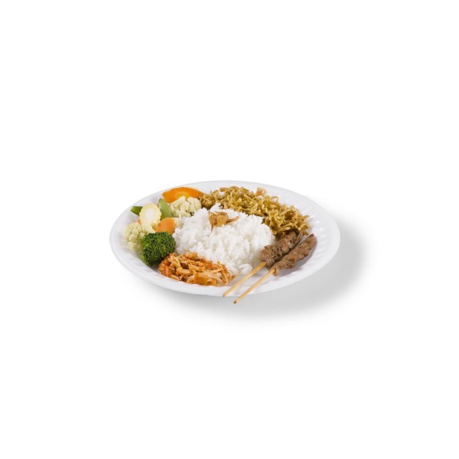 Jual Piring Styrofoam 23 X 16,5 X 2 / Piring makan Foam / PGP-9 ...