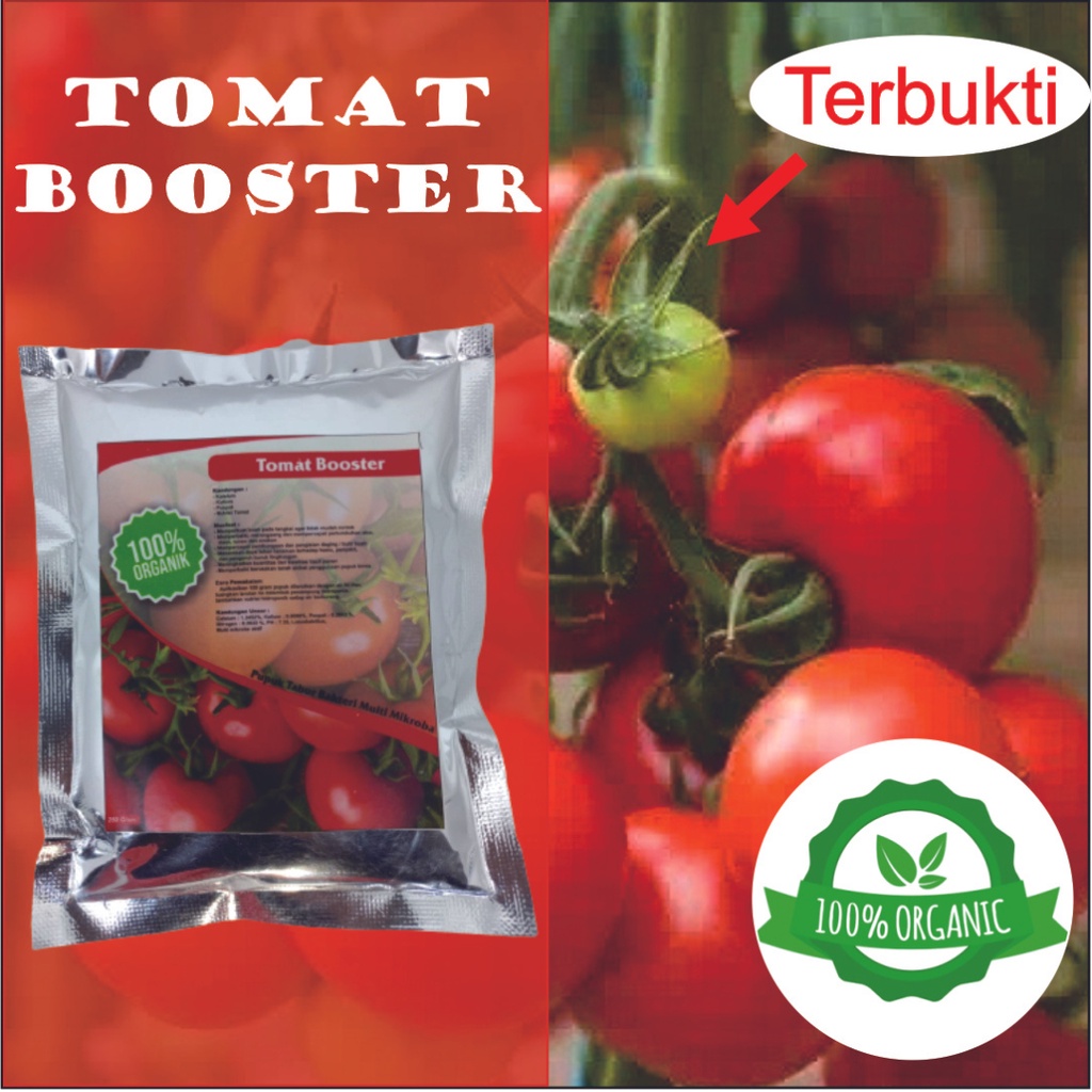 Jual PUPUK BOOSTER TOMAT || PUPUK TOMAT || PERANGSANG BUAH | Shopee Indonesia