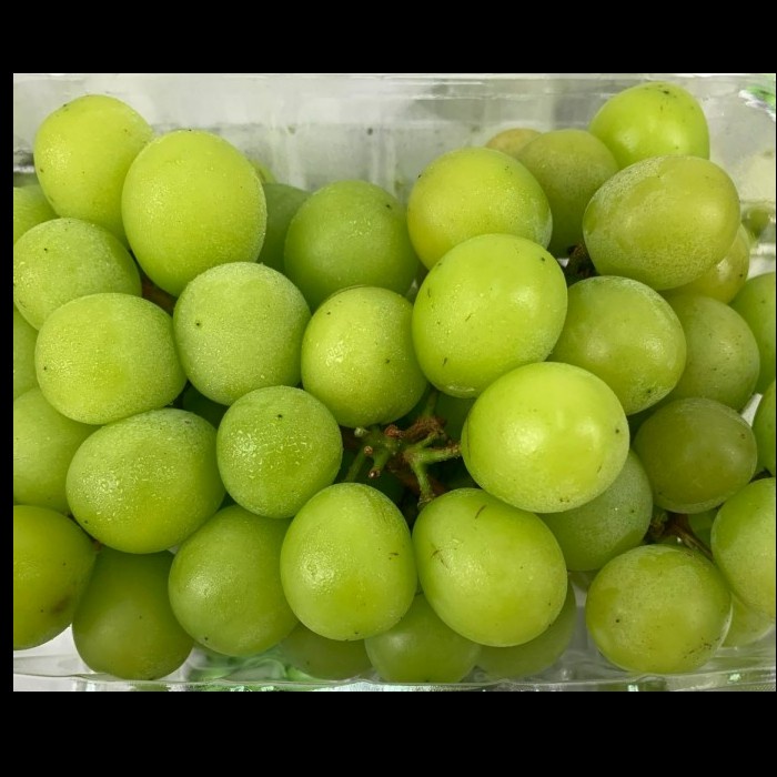 Jual Anggur Hijau Shine Muscat IMPORT Bbt Jepang Seedless Grapes DF 250 ...