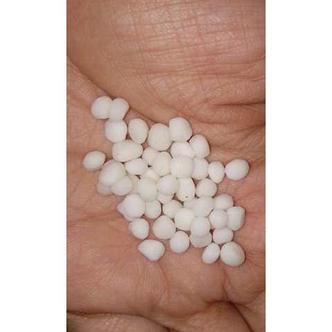 Jual pil dayak mutiara | Shopee Indonesia