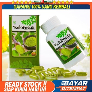 Jual Obat Gatel Kaligata - Obat Biduran Alami - Obat Gatal Gatal Di ...