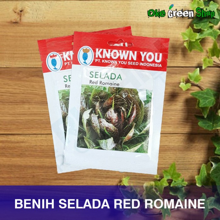 Jual Benih Bibit Sayur SELADA RED ROMAINE KYS 5 Gram | Shopee Indonesia