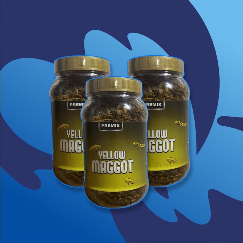 Jual Yellow Maggot with Beta-carotene PREMIX Pakan Ikan Predator ...