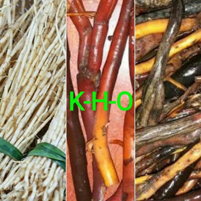 Jual Promo Paket Lengkap Akar Pohon Kelapa Akar Aren dan Akar Alang ...