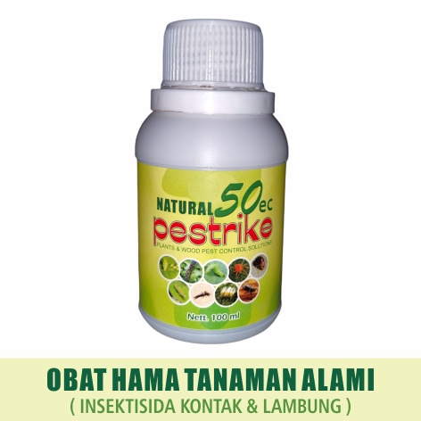 Jual Natural Pestrike 50EC Obat Hama Tanaman Alami | Obat Hama Daun ...