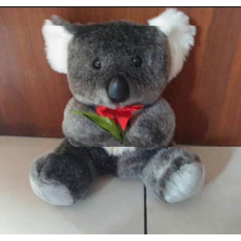 Jual Boneka Koala Ukuran sedang (22 cm) | Shopee Indonesia