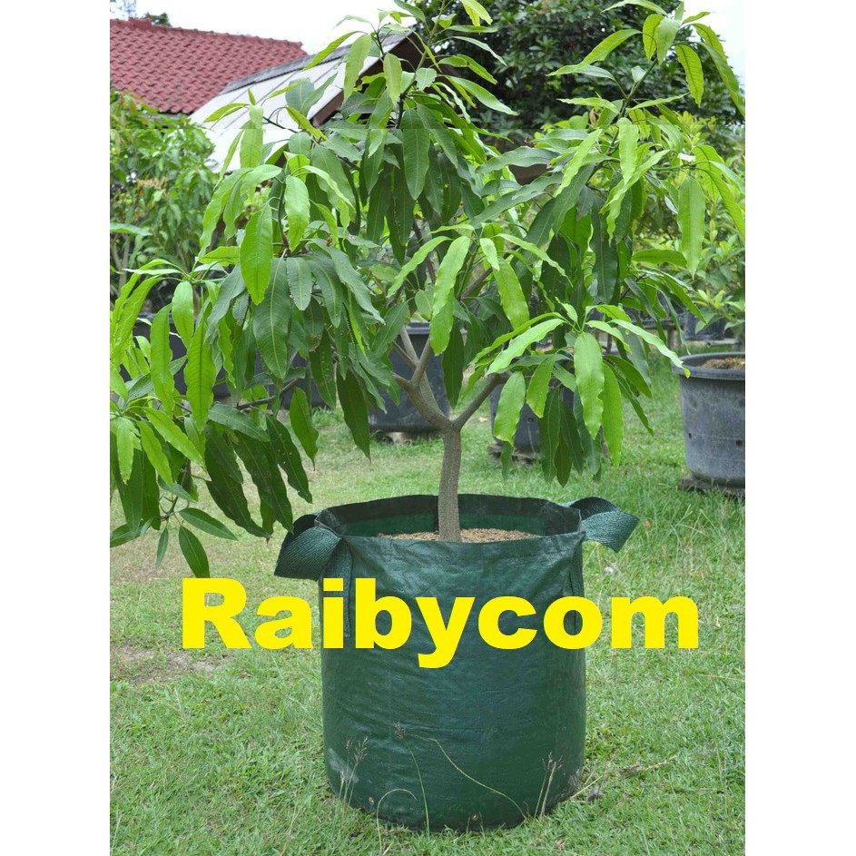 Jual Planter Bag 75 Liter Easy Grow Jumbo Planterbag Pohon Buah Besar ...