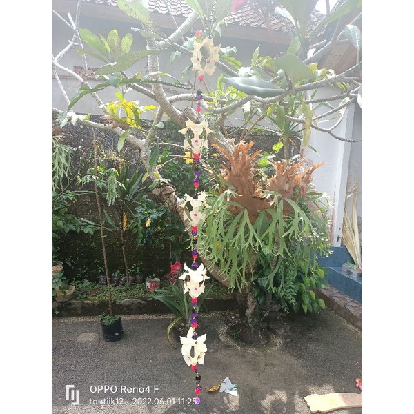 Jual Tali Penjor | Shopee Indonesia