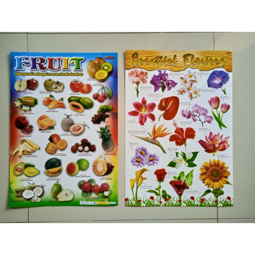 Jual Poster Anak Aneka Macam Buah dan Bunga | Shopee Indonesia