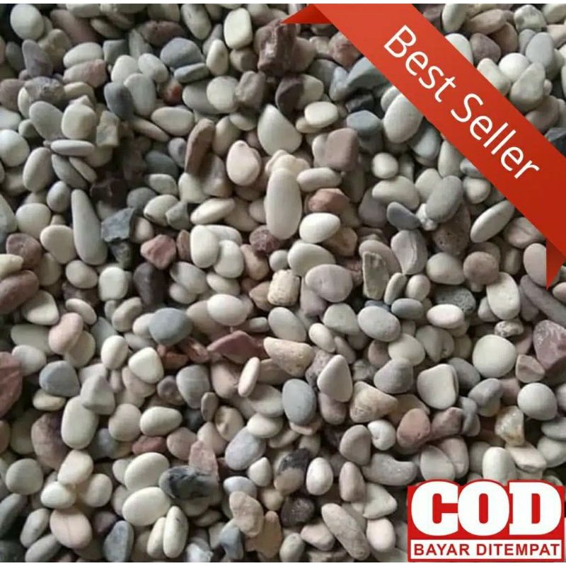 Jual batu hias koral putih dan pancawarna 1 Kg Indonesia|Shopee Indonesia