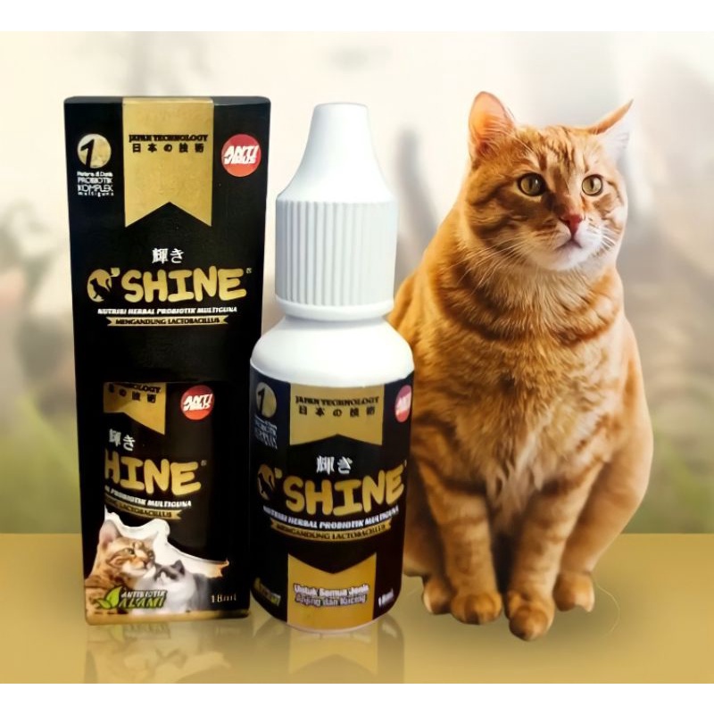 Jual Vitamin dan Obat Kucing Oshine Nutrisi Kucing | Shopee Indonesia