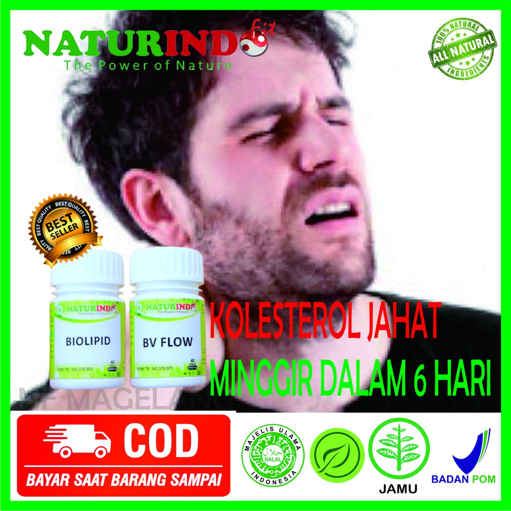 Jual Herbal plak pembuluh darah trigliserida kolesterol abnormal ...