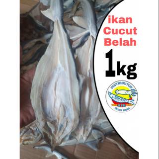 Jual Ikan asin Cucut belah-1kg Indonesia|Shopee Indonesia