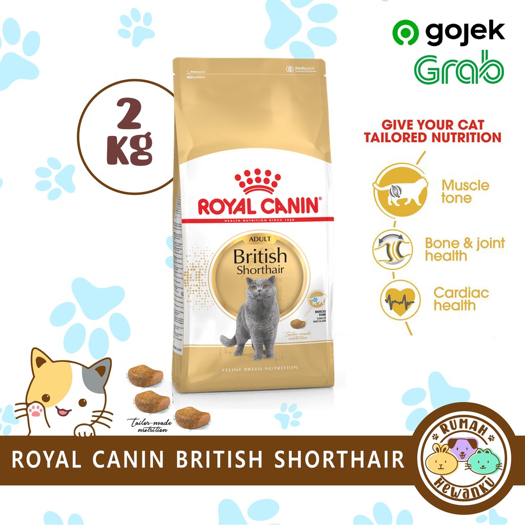 Jual Royal Canin Adult British Shorthair 2 kg | Shopee Indonesia Jual Royal Canin Adult British Shorthair 2 kg | Shopee Indonesia