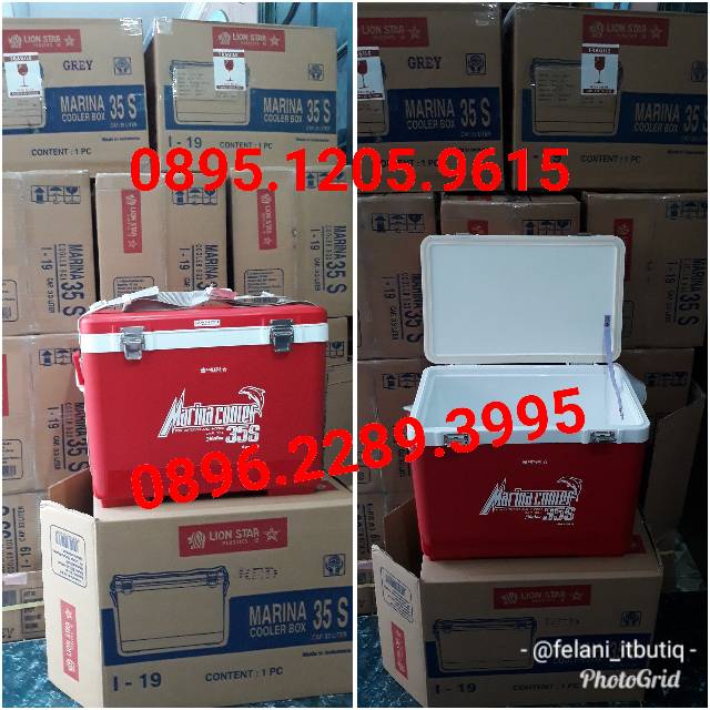 Jual Marina 35 S Lion Star 33 Liter Cool Box / Ice Cooler Box / Kotak ...