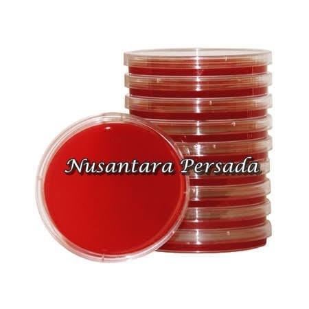 Jual Plate Media Blood Agar Base Alat Laboratorium Murah 1 Pack ...