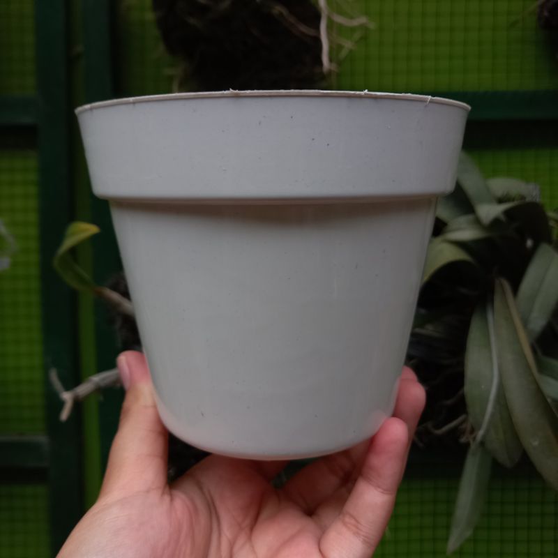 Jual Pot Putih 12 Pot Bibit 12 MDN Pot Kaktus Pot Kecil Putih Indonesia ...