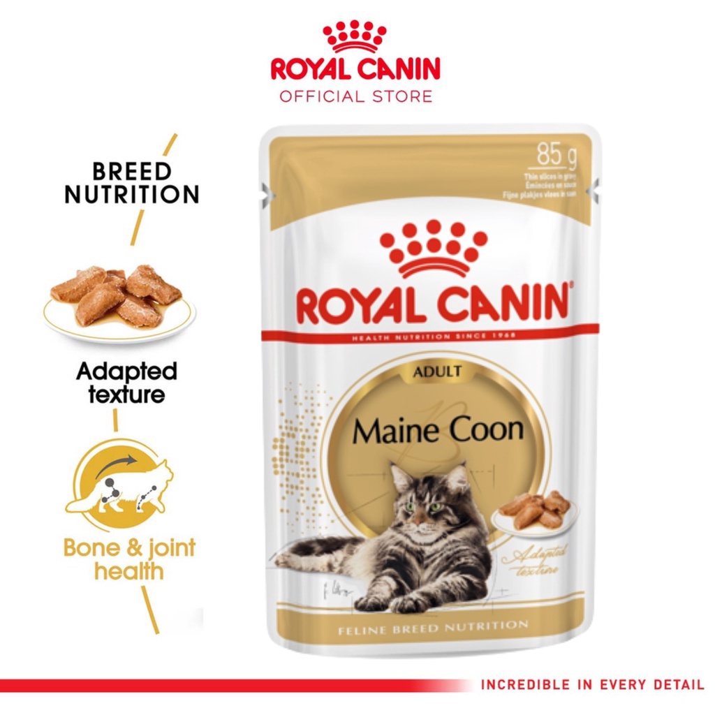 Jual RC MAINE COON PUCH ADULT 85gr Cat Wet Food Royal Canin Makanan ...