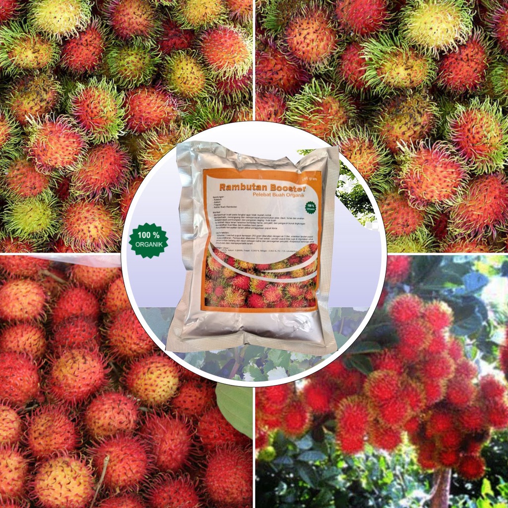 Jual Pupuk Booster Rambutan Organik Agar Cepat Berbuah Lebat Anti ...