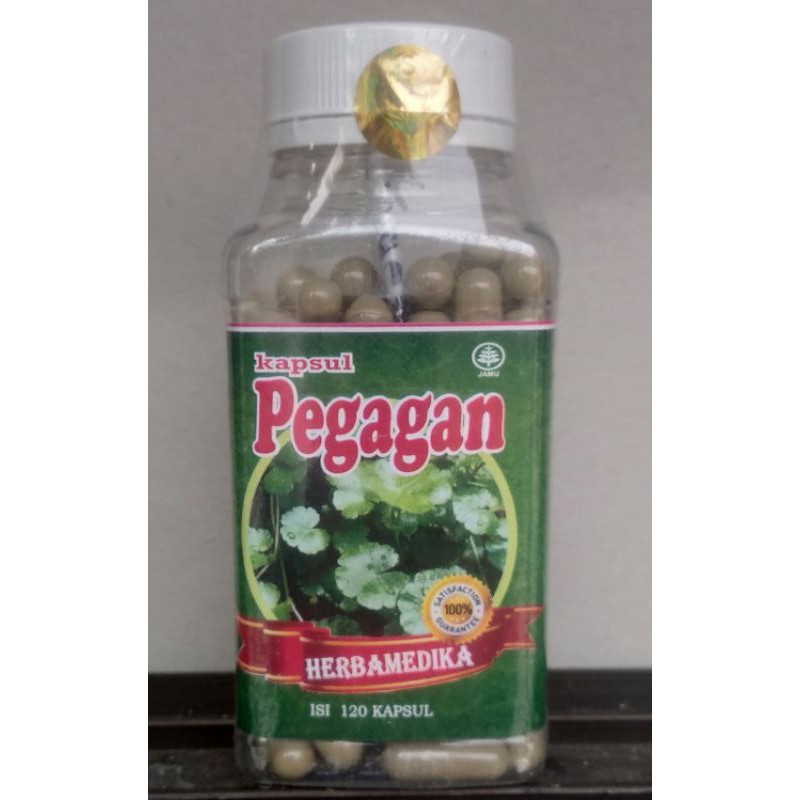 Jual Kapsul Pegagan isi 120 kapsul | Shopee Indonesia