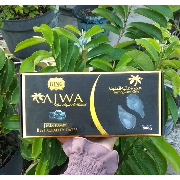 Jual PRINCE DATES - 500 Gram - KURMA AJWA AL MADINAH / Ajuwa / Kurma ...