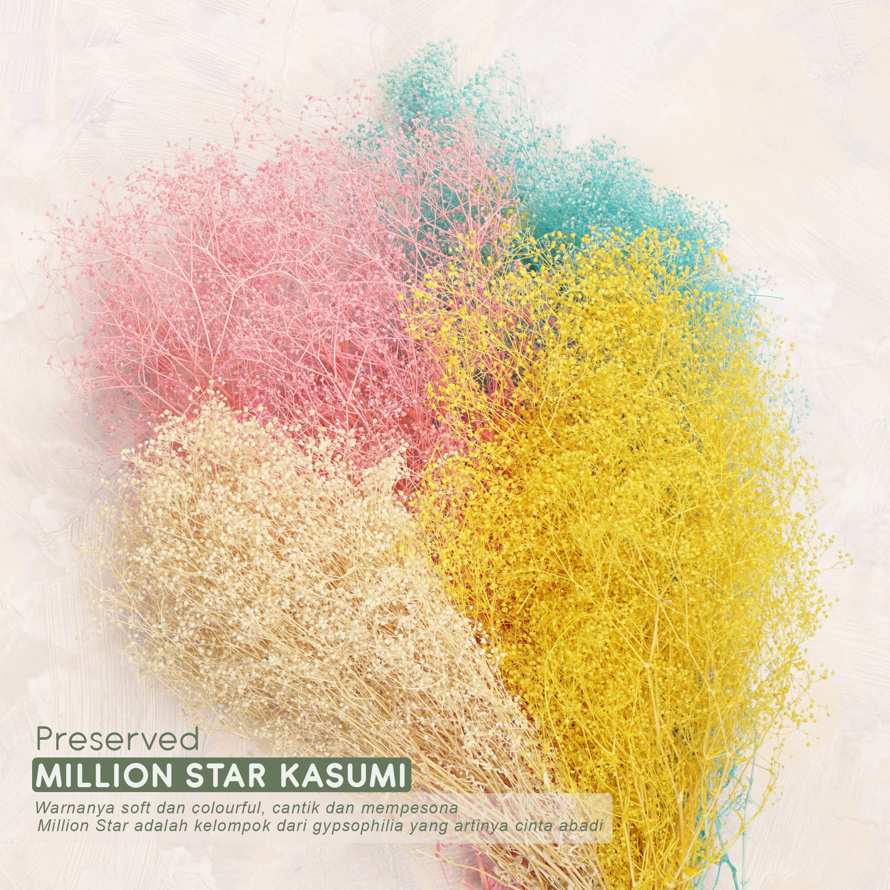 Produk Cece Flower House | Shopee Indonesia