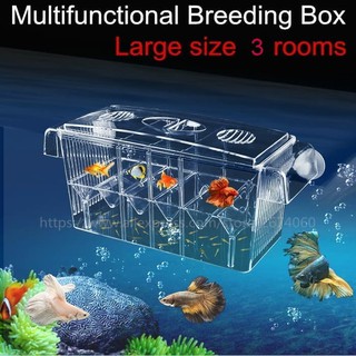 Jual Breeding Box Isolation Incubation Box Kotak Karantina Ikan Guppy ...