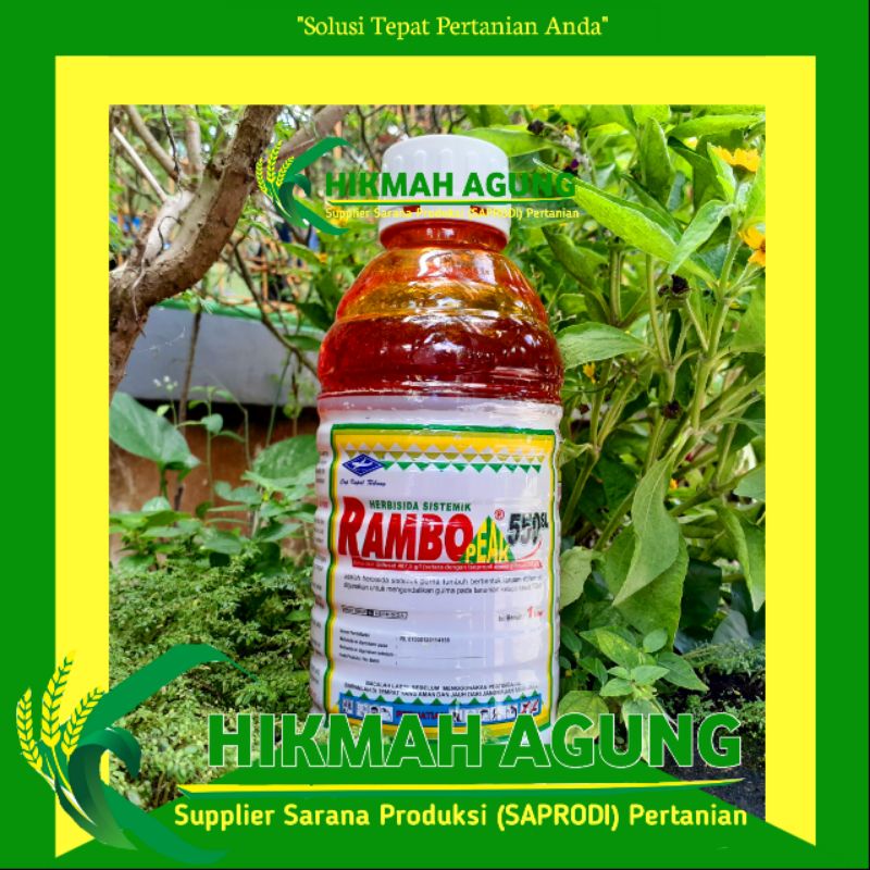 Jual RAMBO PEAK 550SL 1 LITER HERBISIDA GLIFOSAT PEMBASMI RUMPUT ...