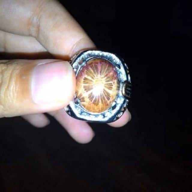 Jual BATU AKIK TERATAI TUNGGAL SUPER ORIGINAL (BIG SIZE) | Shopee Indonesia