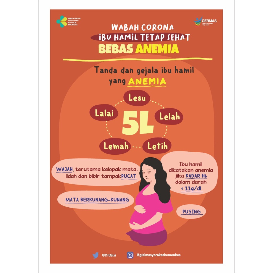 Jual Poster Ibu Hamil Bebas Anemia di Masa Pandemi (Laminasi) Indonesia ...