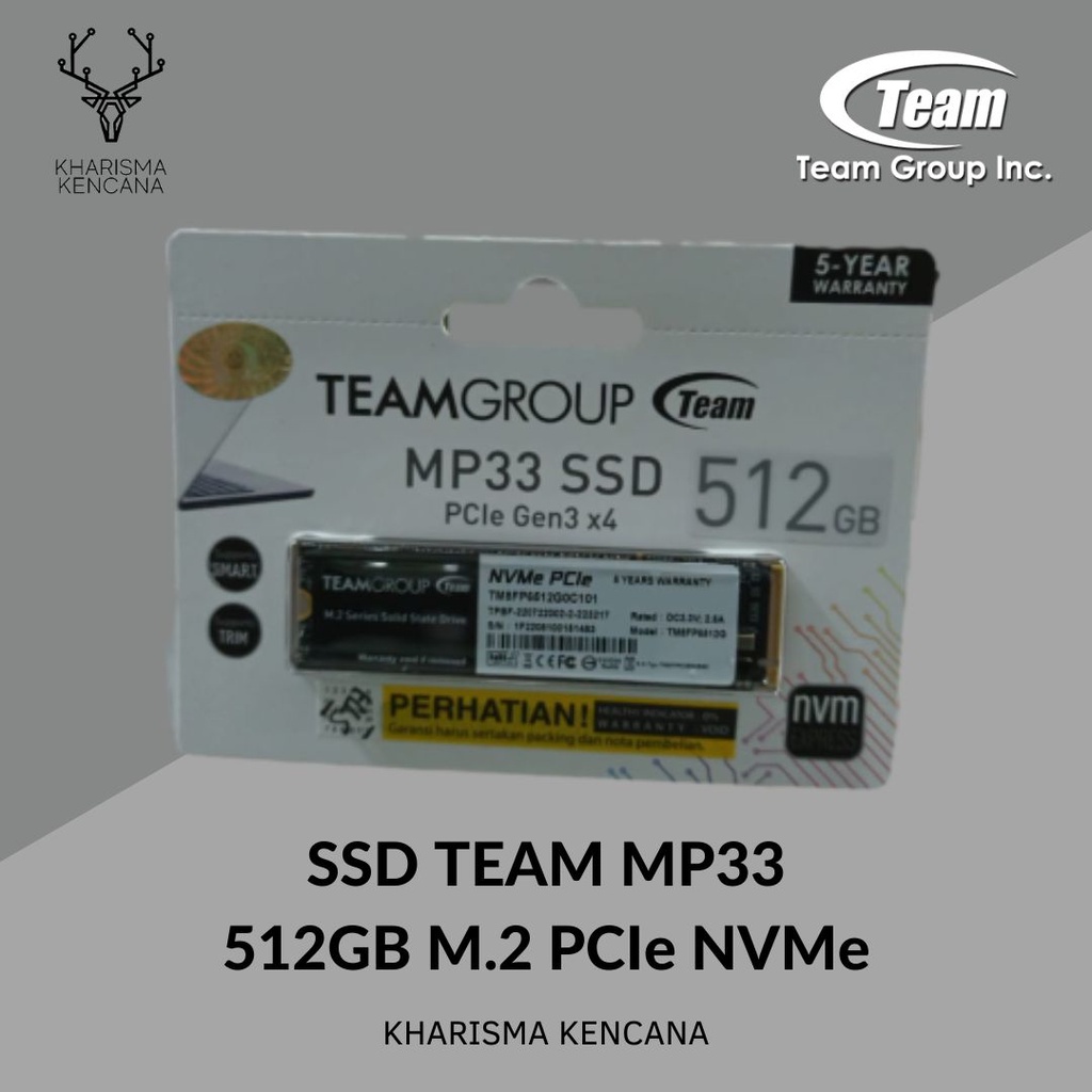 Jual SSD TEAM MP33 512GB M.2 PCIe NVMe | Shopee Indonesia