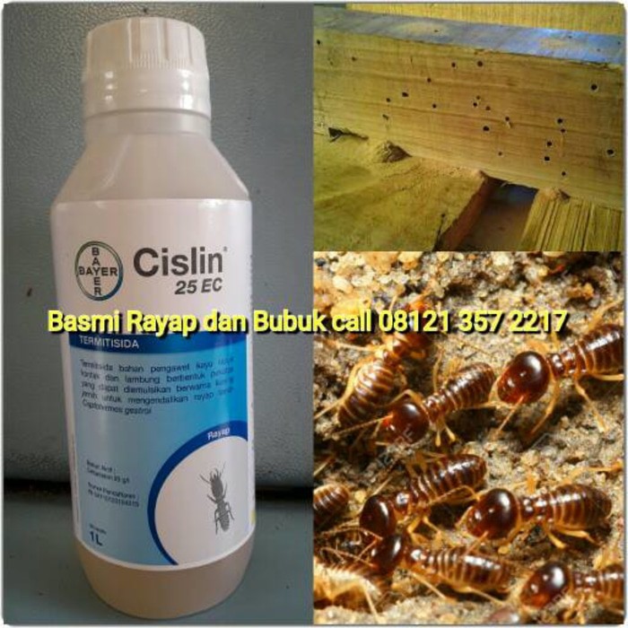 Jual CISLIN 25 EC Proteks Basmi RAYAP Tanah Coptotermes gestroi pd ...