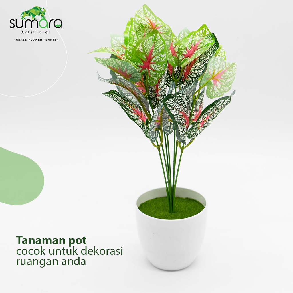Jual Tanaman Sintetis / Tanaman Artificial Daun Keladi | Shopee Indonesia
