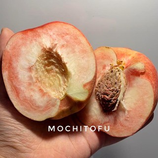 Jual Peach Korea - My Daily box Korean Peach - isi 2 pcs per box ...